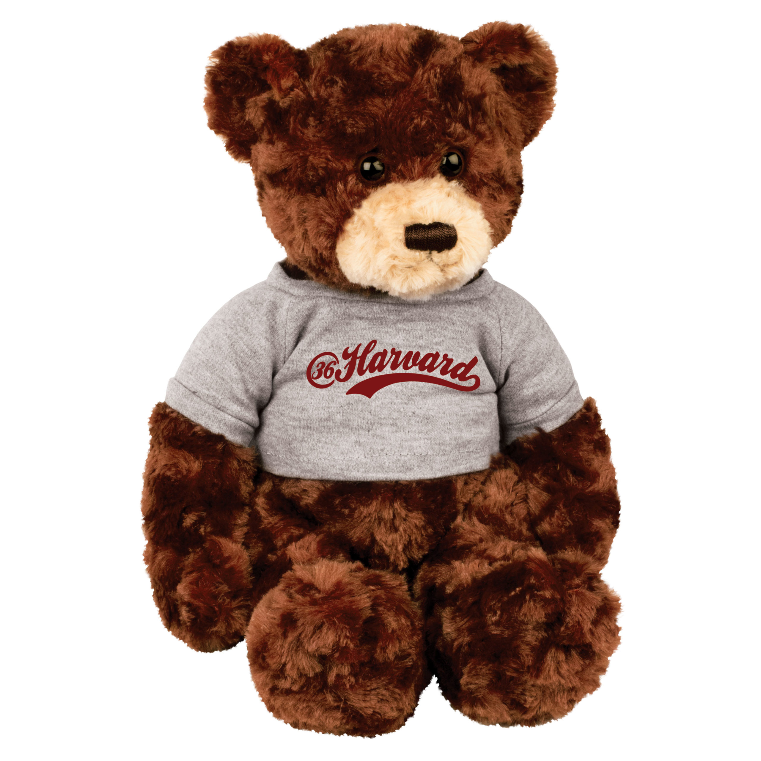 Dexter Bear - MCM Brands